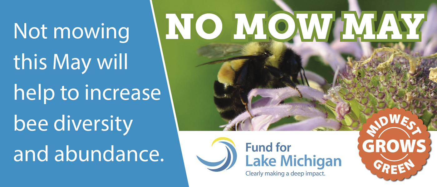 No Mow May Milwaukee 2023 | Midwest Grows Green