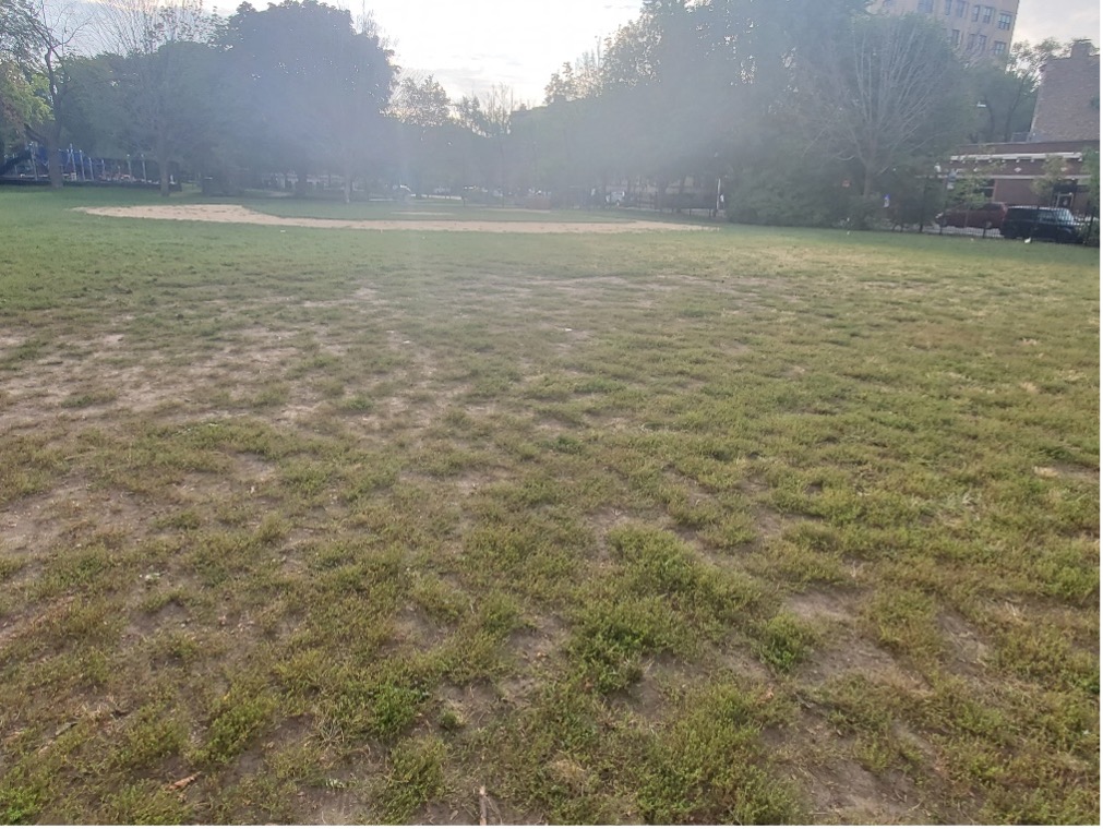 Ray Elementary School Restoration | Midwest Grows Green